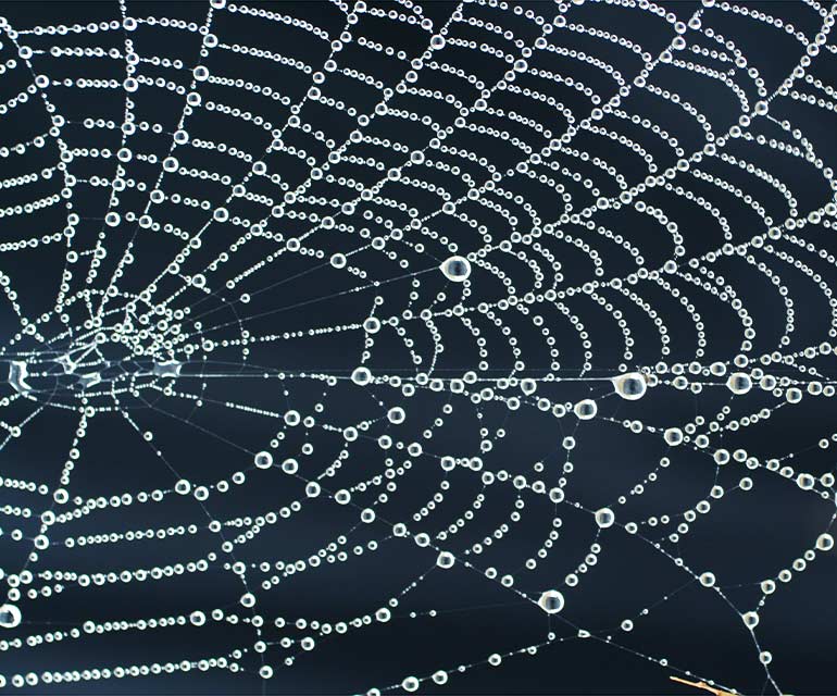 Visualising the world economy -CapX