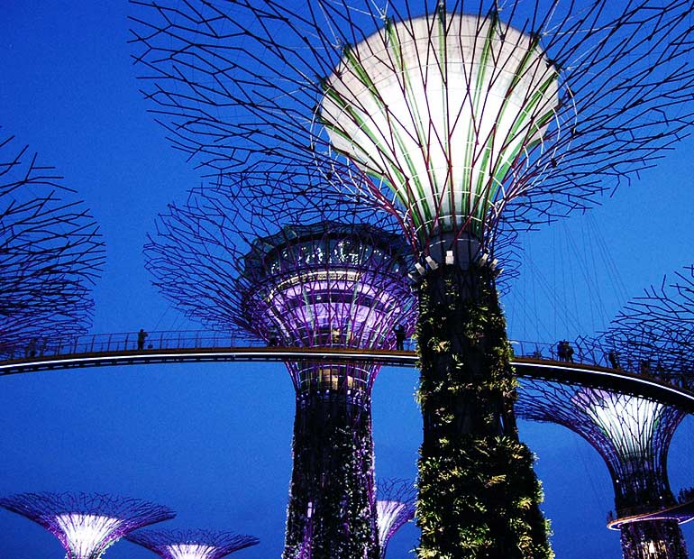 All the charts you need to see Singapore's success story -CapX