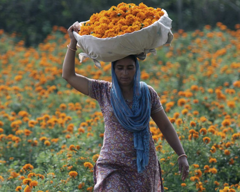 victoria-bateman-2 - CapX