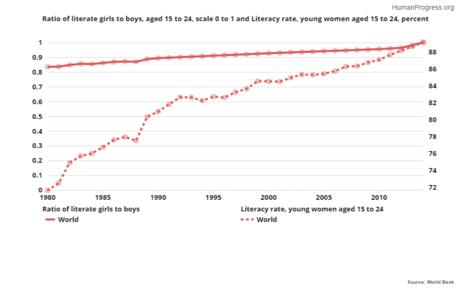 20 graphs to celebrate women's progress around the world - CapX