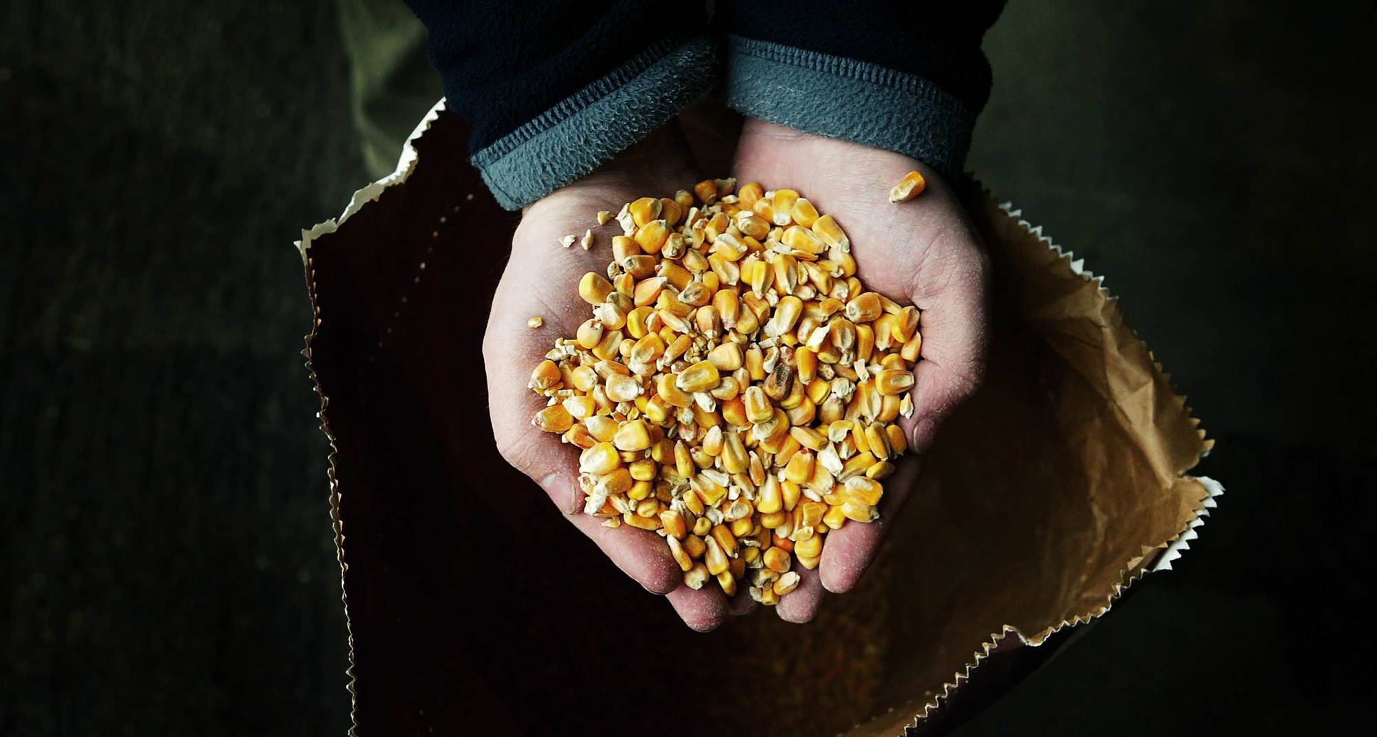 Seven ways in which human ingenuity helps the planet - CapX