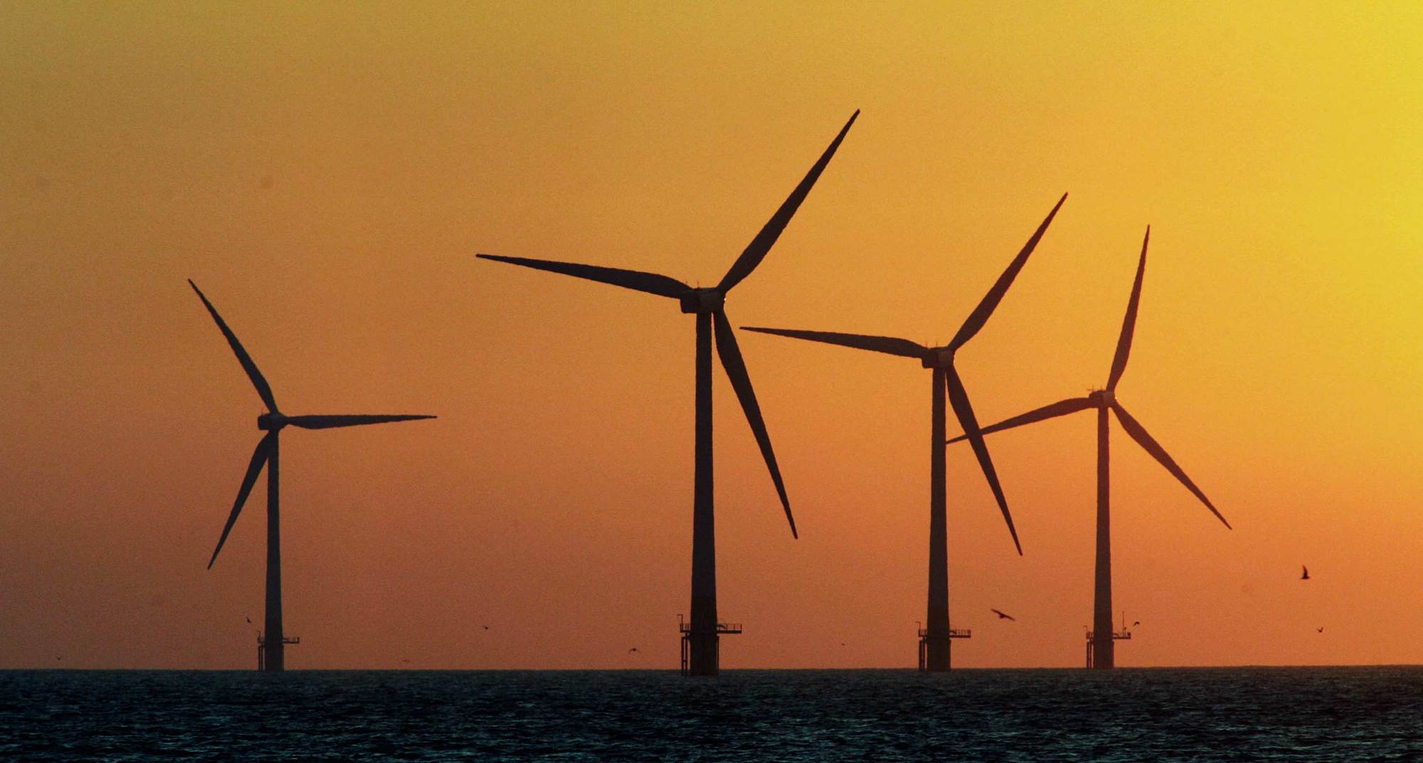 The winner of the wind-power game won't be the consumer - CapX