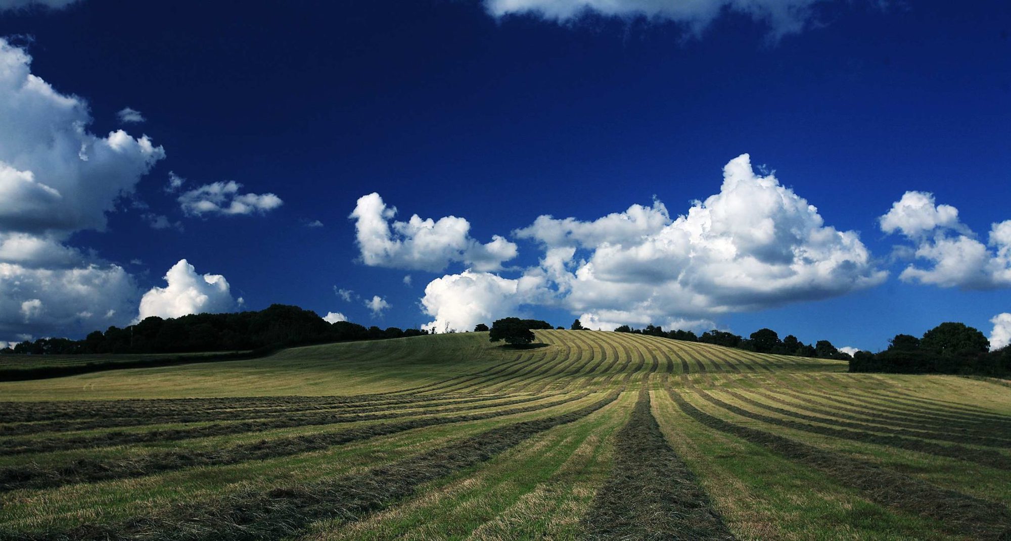 How to build on this green and pleasant land - CapX
