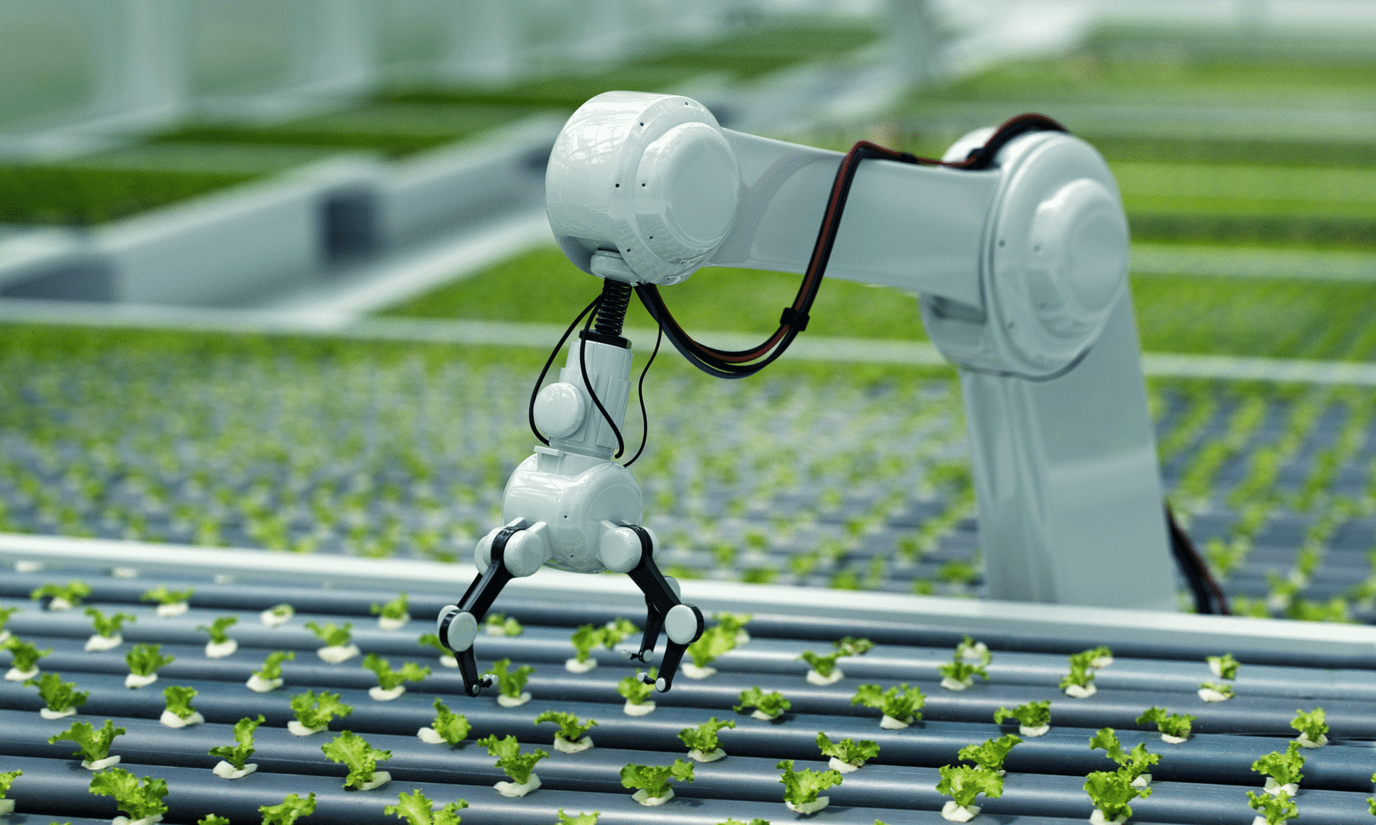 Bring on the farmbots! - CapX