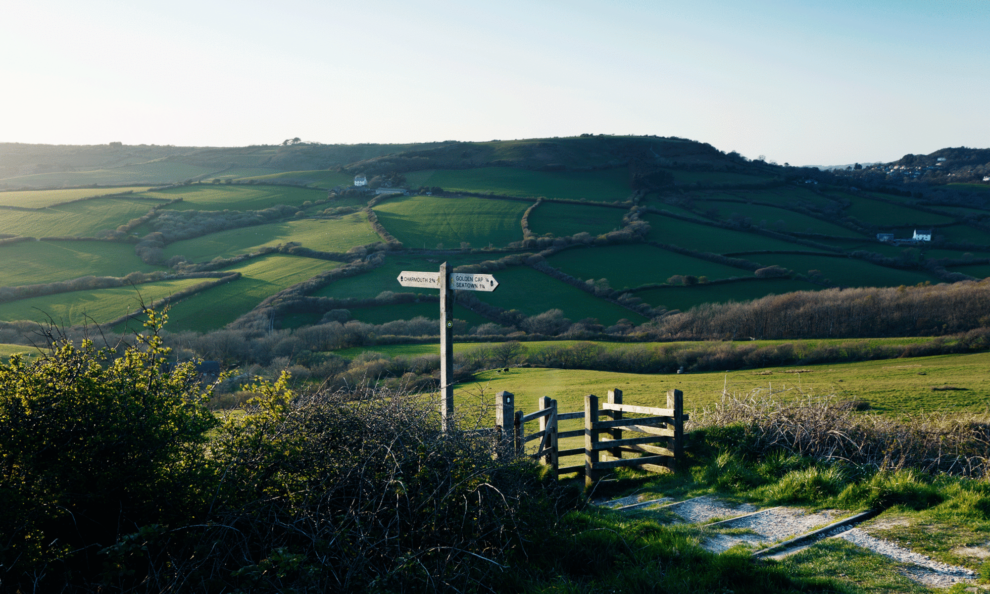 The Tories are losing their true-blue heartlands – here's how to win ...