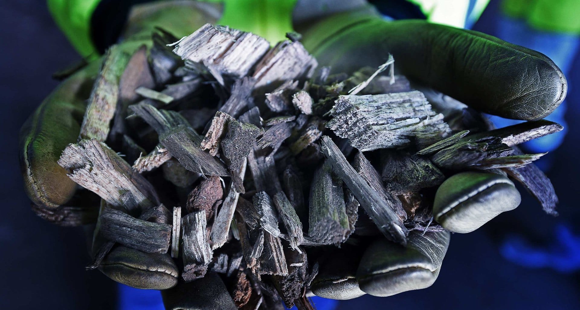 Why the next PM should take a long, hard look at biomass - CapX