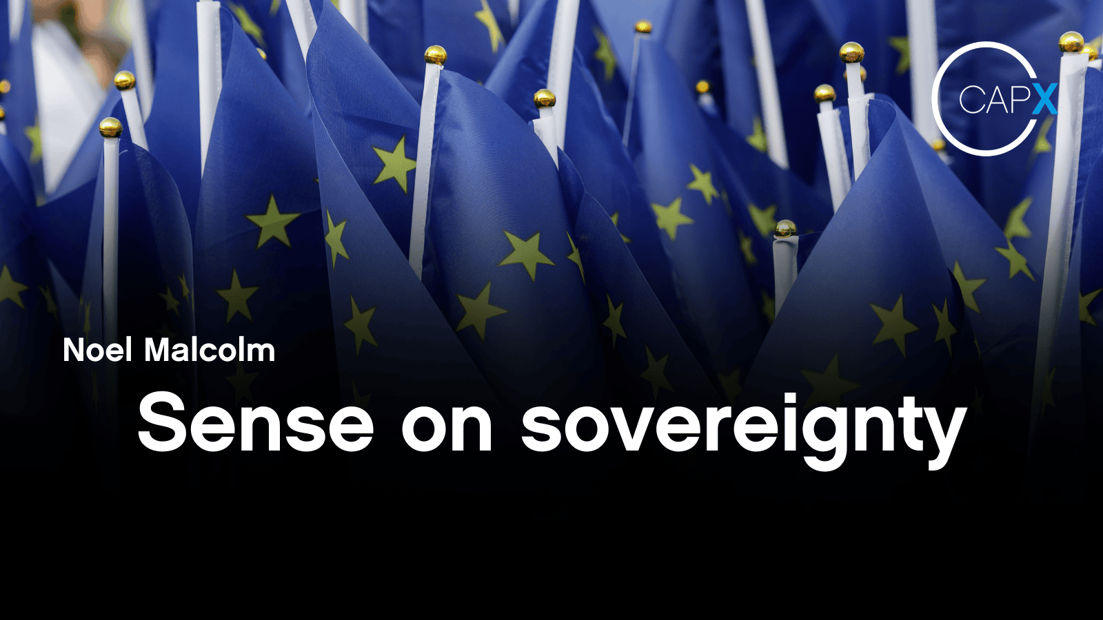 Sense on Sovereignty - CapX