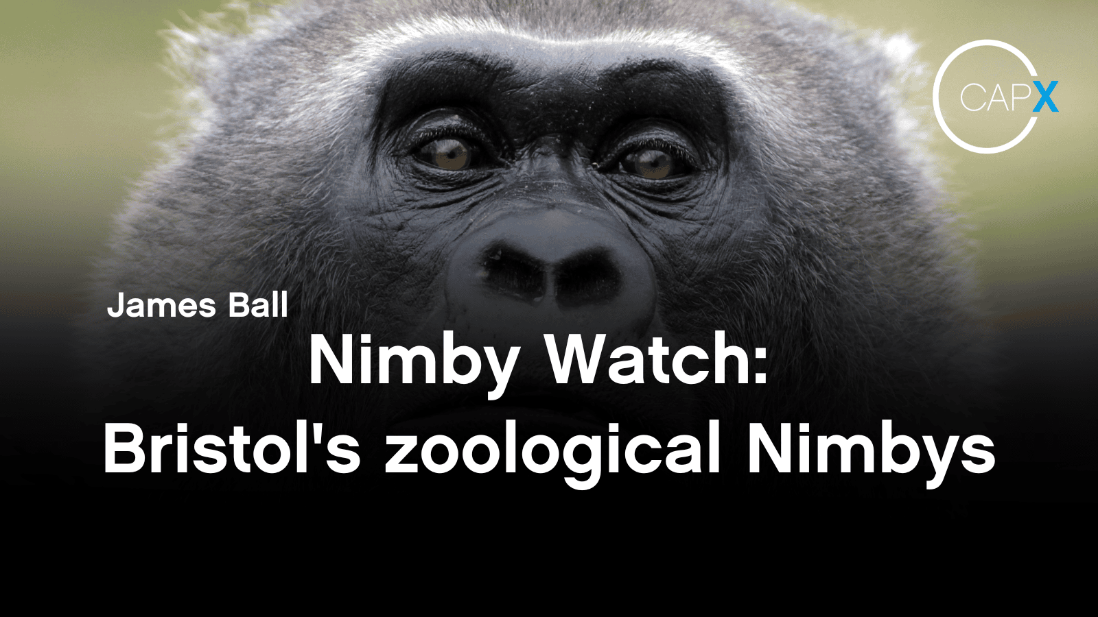 Nimby Watch: Bristol's zoological Nimbys - CapX