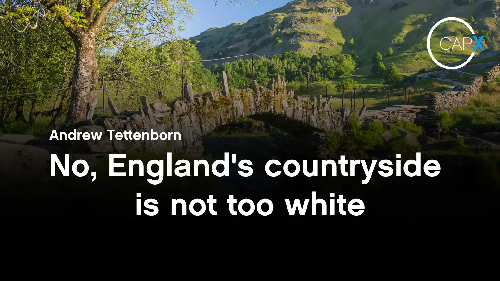 No, England's countryside is not too white - CapX
